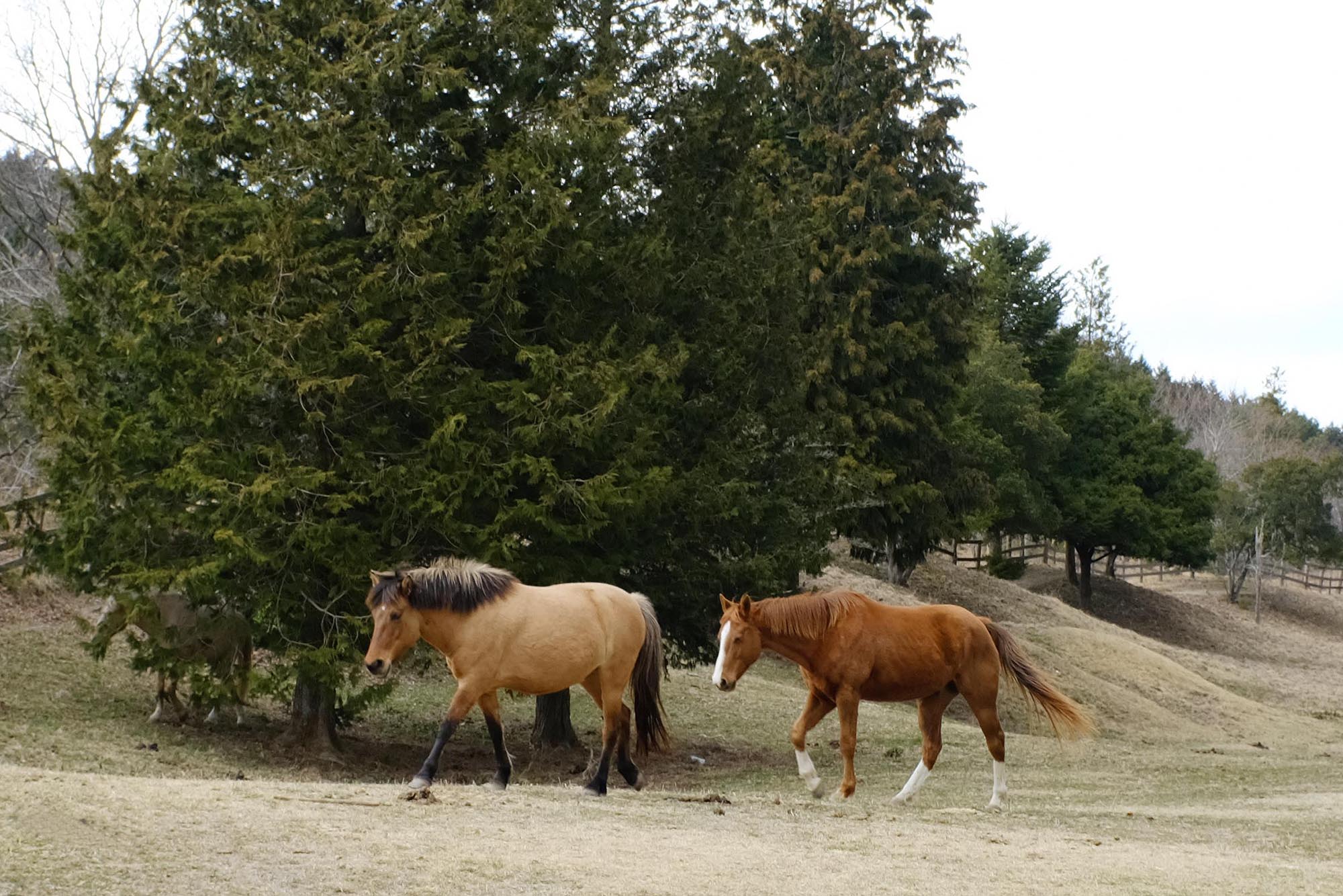 2月のオープンカレンダー | SUNNY CLOUDY RAINY（サニークラウディーレイニー）